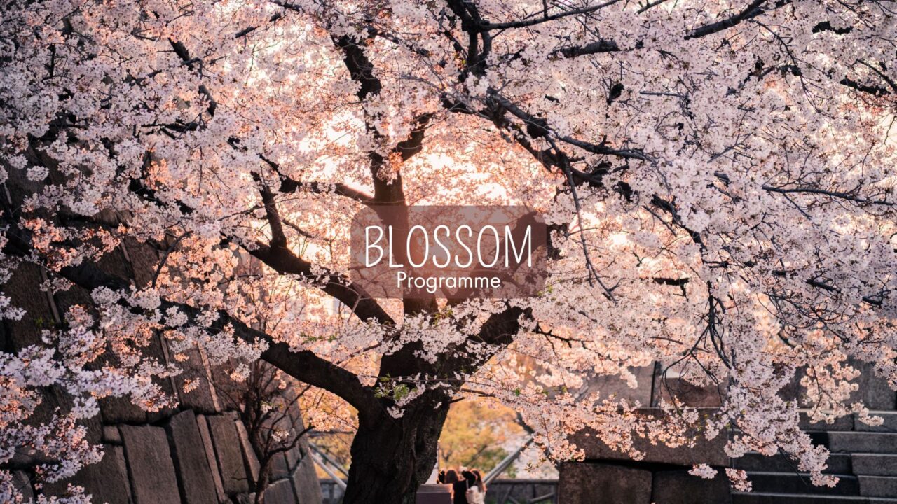 Total Transition Programmes - Transition Nutrition